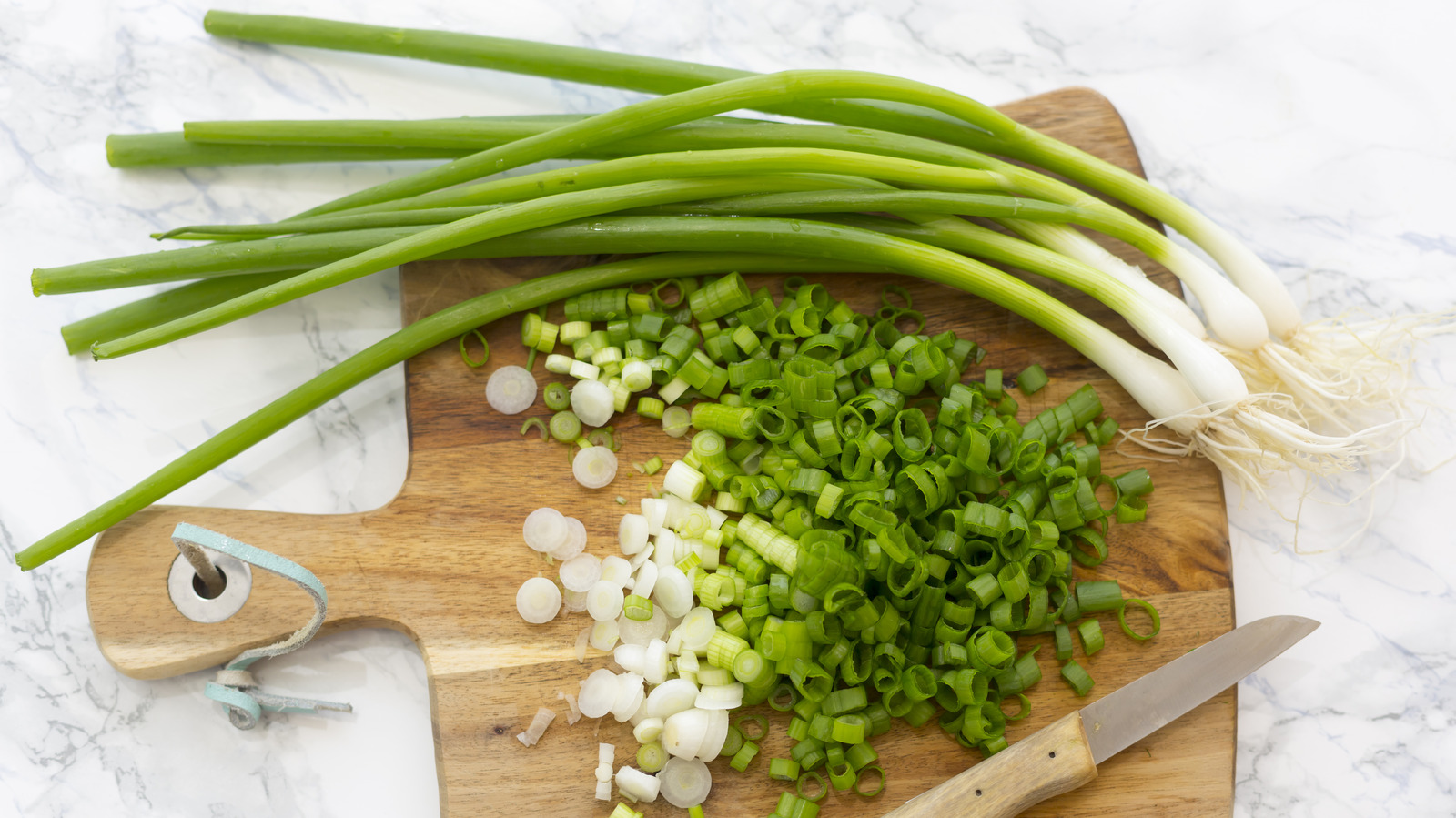 Are Scallions And Green Onions Really The Same Thing?