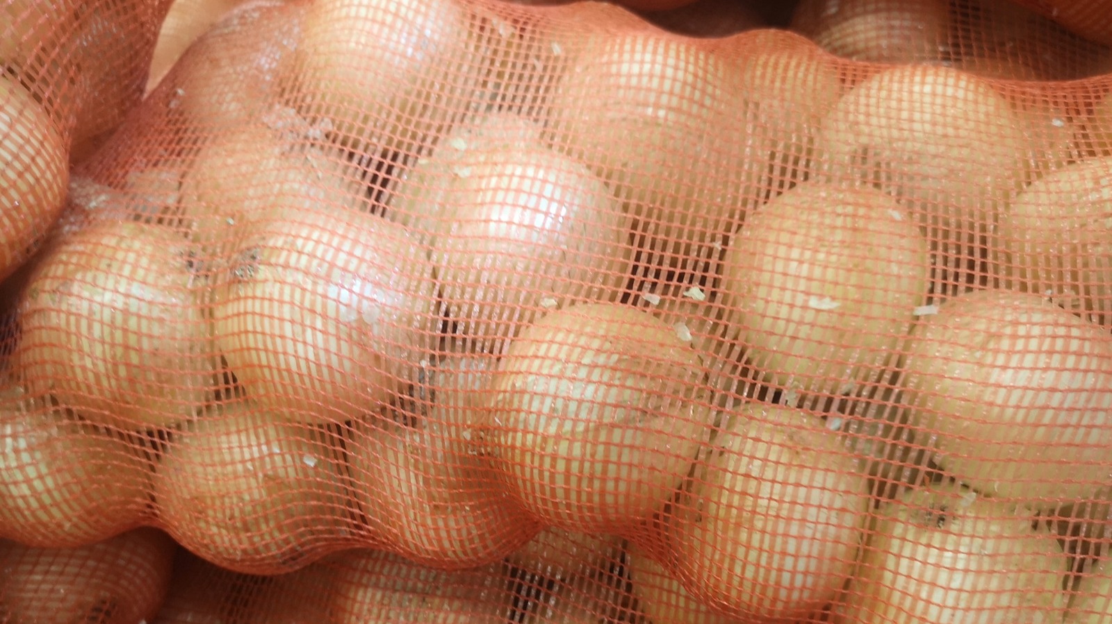 Don't Throw Out Onion Sacks – Use Them For Your Garden Instead