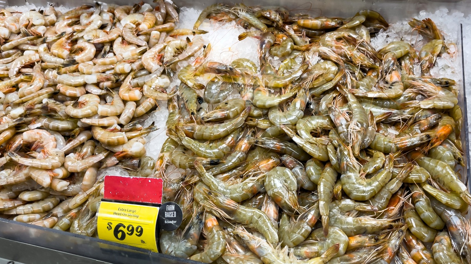 Is Grocery Store Shrimp Actually Fresh?