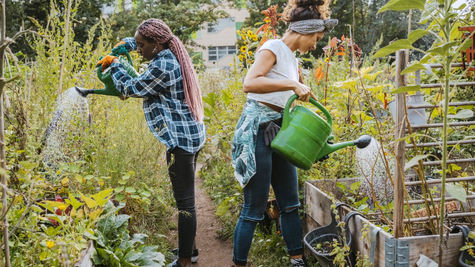 Here's How Often You Should Be Watering Your Vegetable Garden