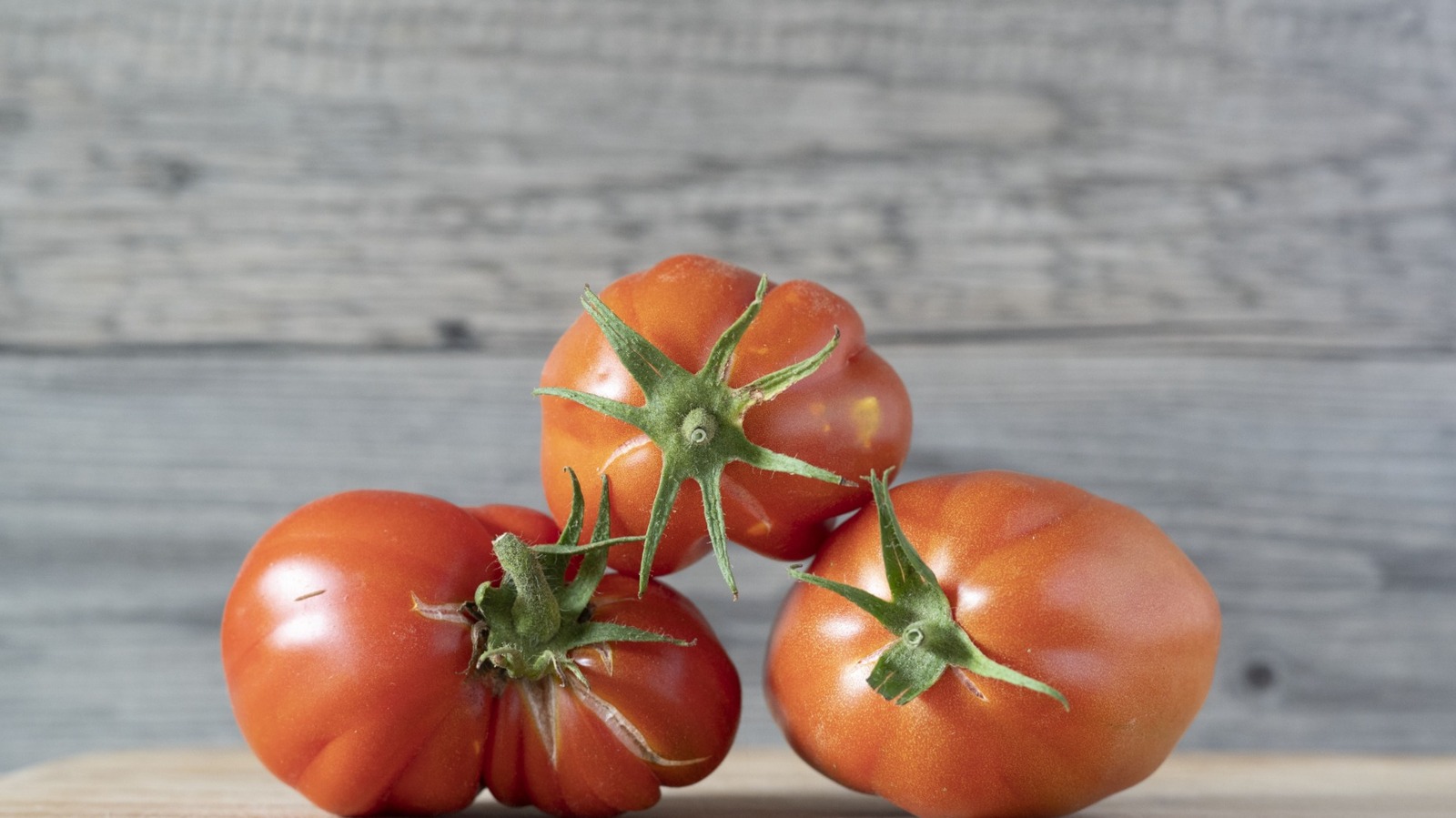 How The Iconic 'Mortgage Lifter' Tomato Got Its Name, And How To Grow ...