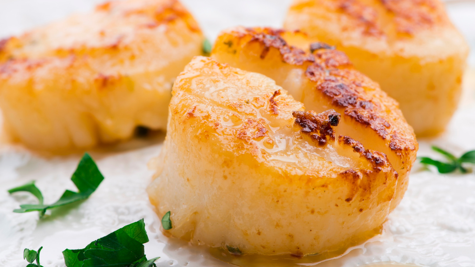 11 Mistakes To Avoid When Cooking Scallops