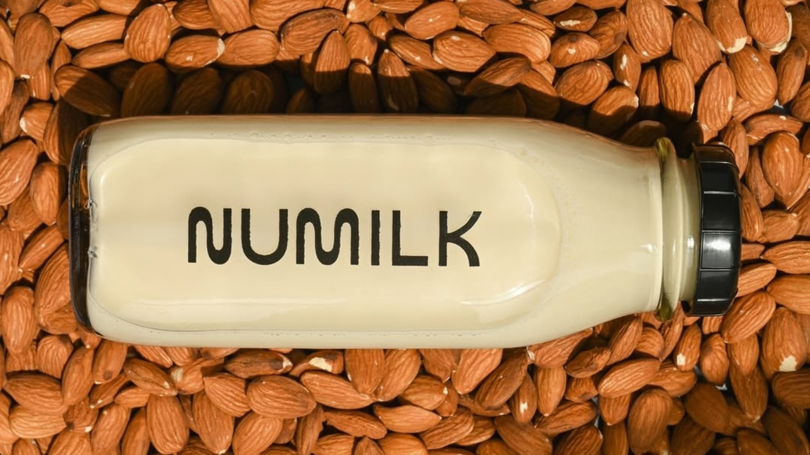Numilk: Here's What Happened After Appearing On Shark Tank