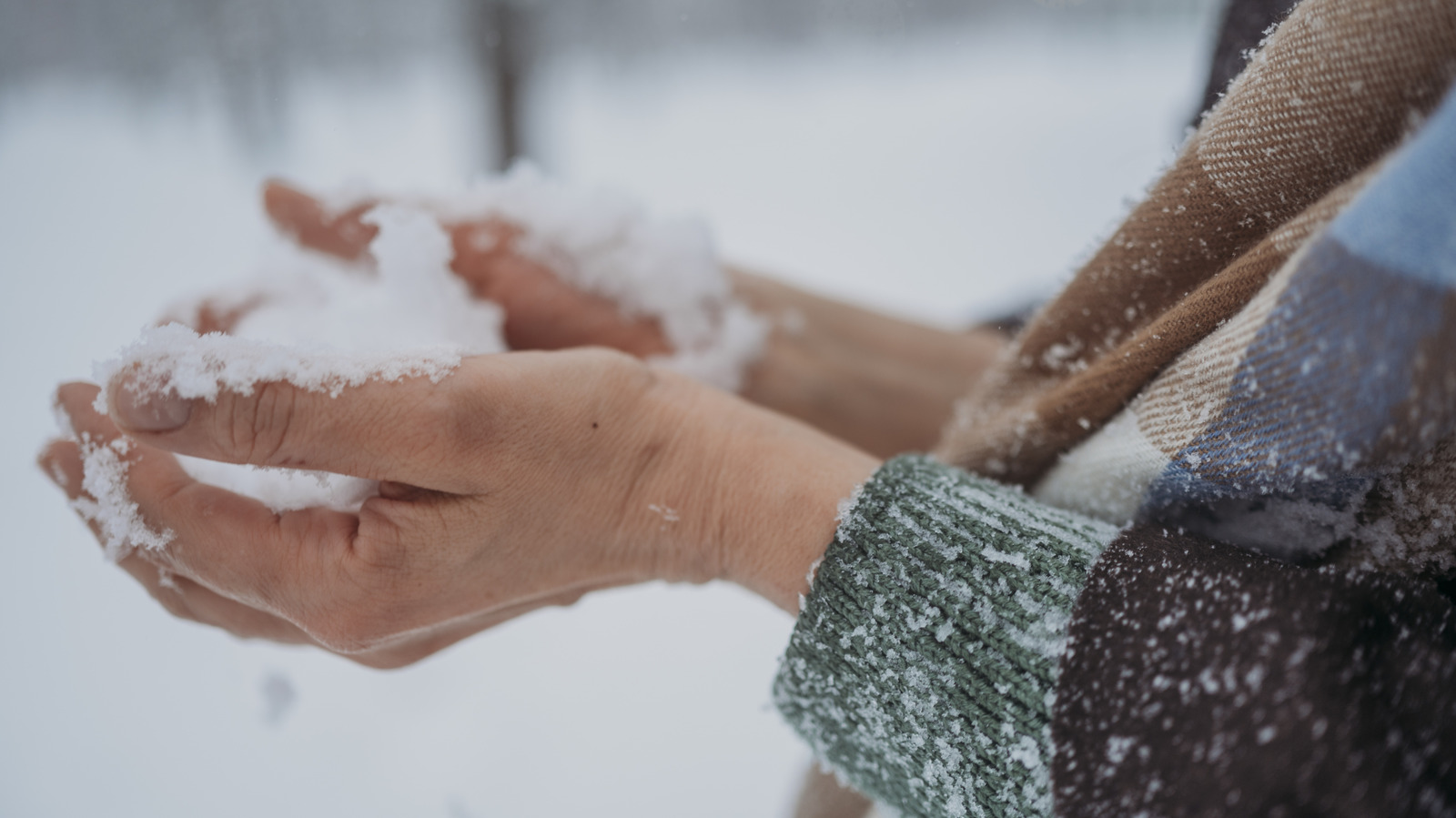 What Is Old Fashioned Snow Cream And How Do You Make It?