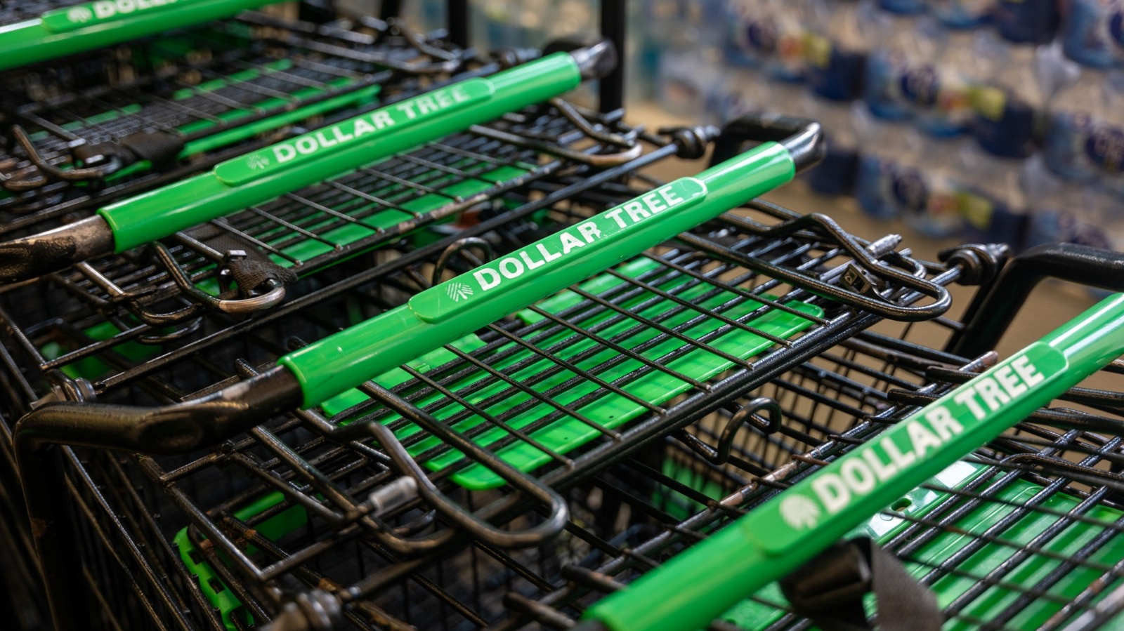 Score These Popular Plates At Dollar Tree To Give Your Table A Festive ...