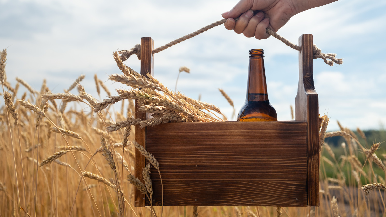 What Makes Farmhouse-Style Beers So Unique?